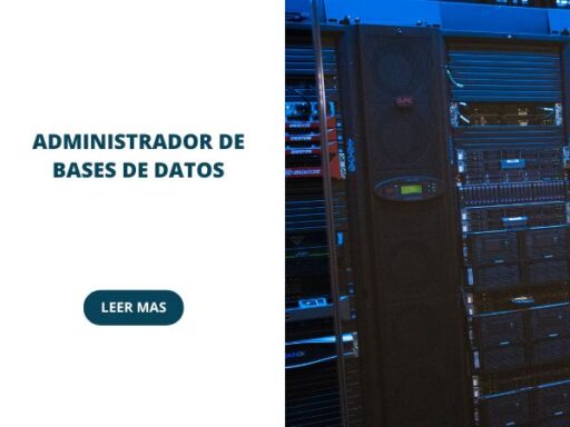 Administrador de Bases de Datos: Qué es y que hace, estudios y salida laboral