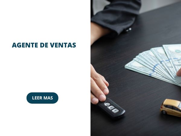 Agente de ventas: Tareas y responsabilidades, salida laboral